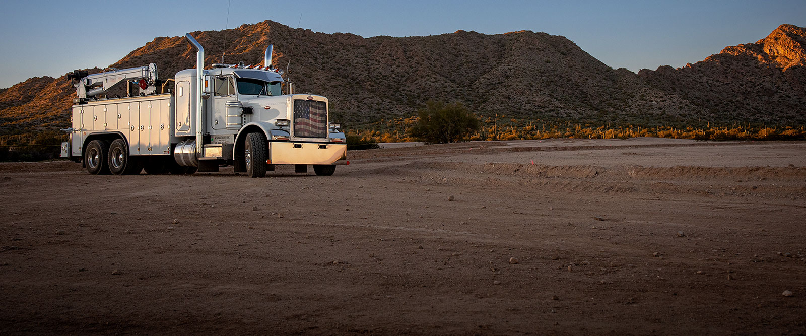 Stellar - Anthologic (New)